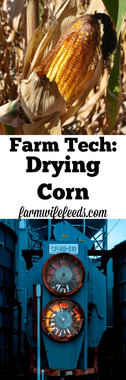 Farm Technology: Corn Drying - The Farmwife Feeds