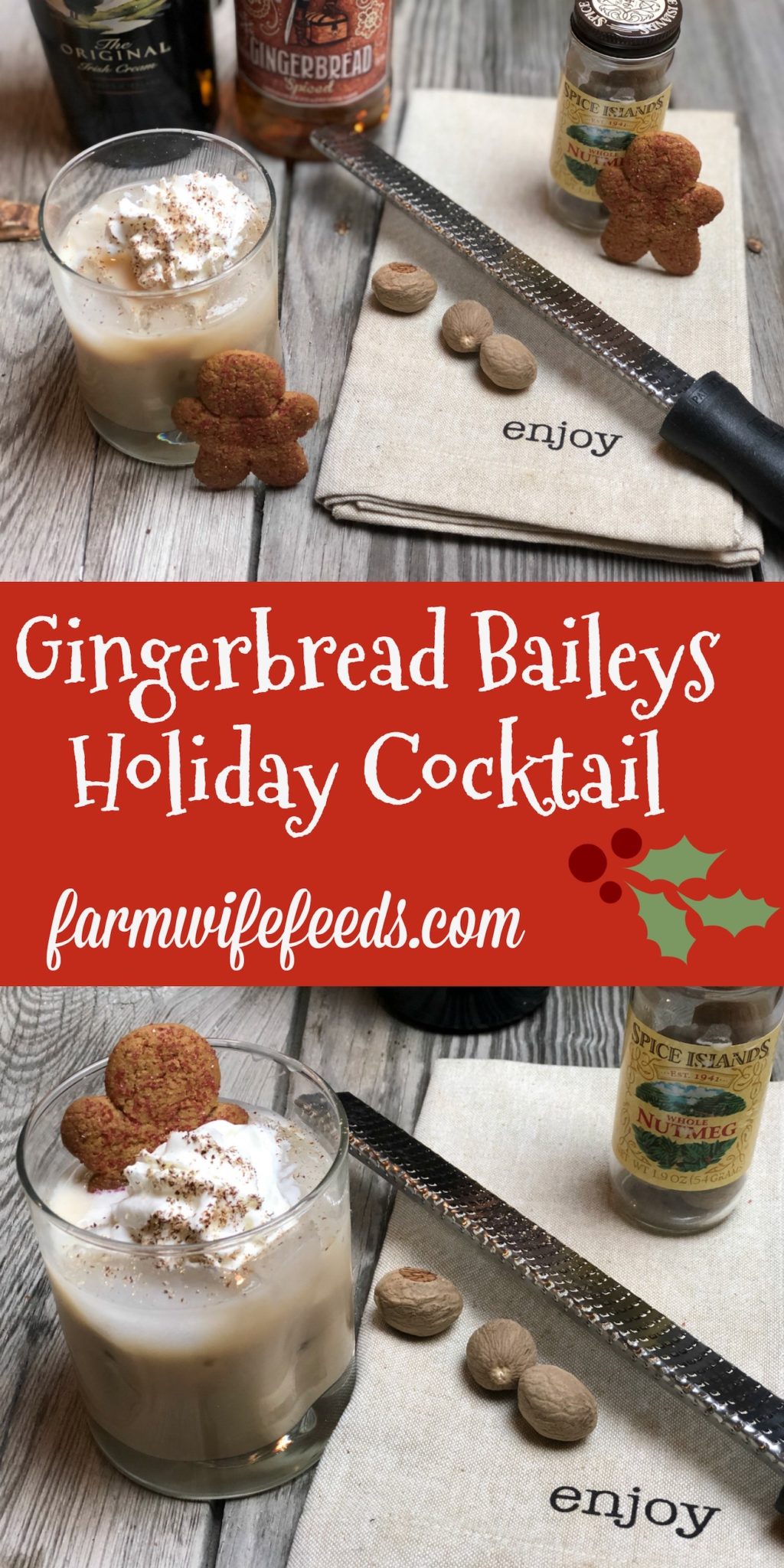 Gingerbread Baileys Holiday Cocktail - The Farmwife Feeds