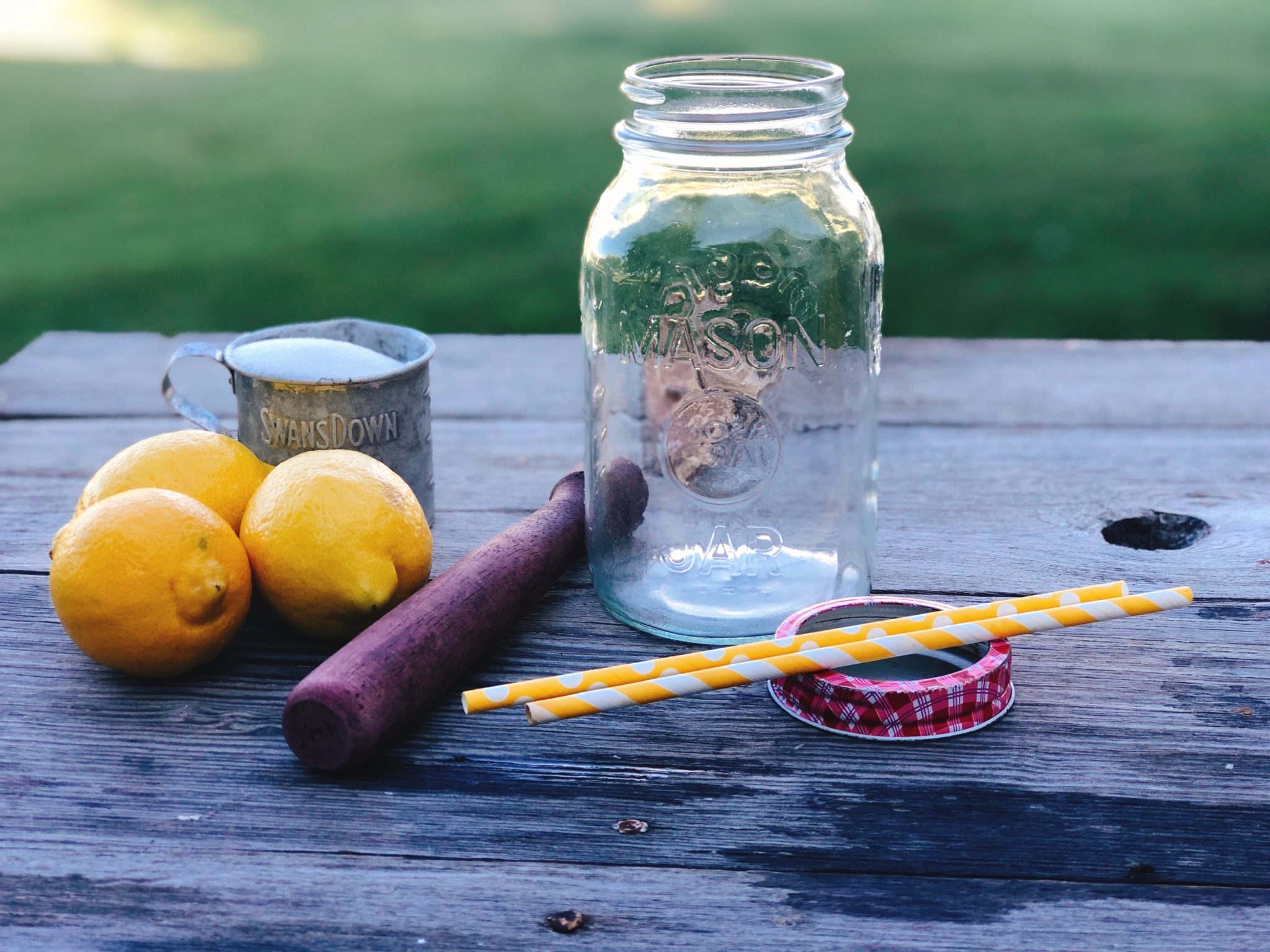 County Fair Lemon Shake-Up - The Farmwife Feeds