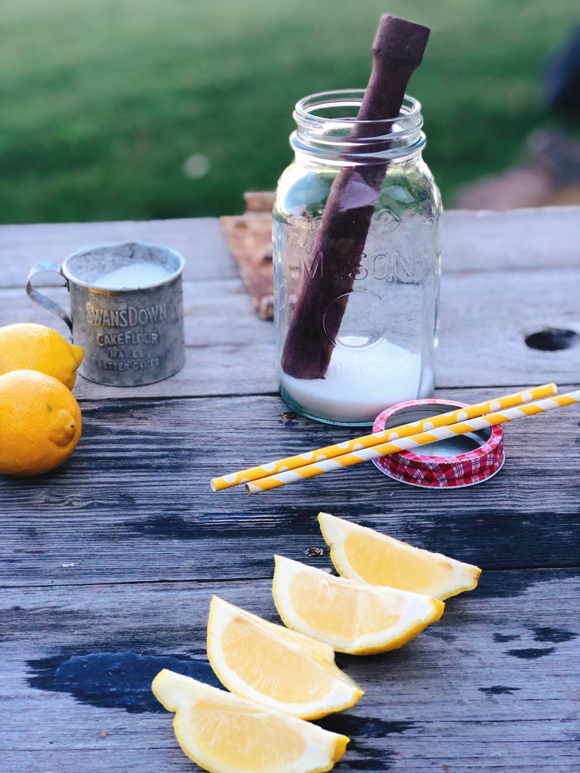 County Fair Lemon Shake-Up - The Farmwife Feeds