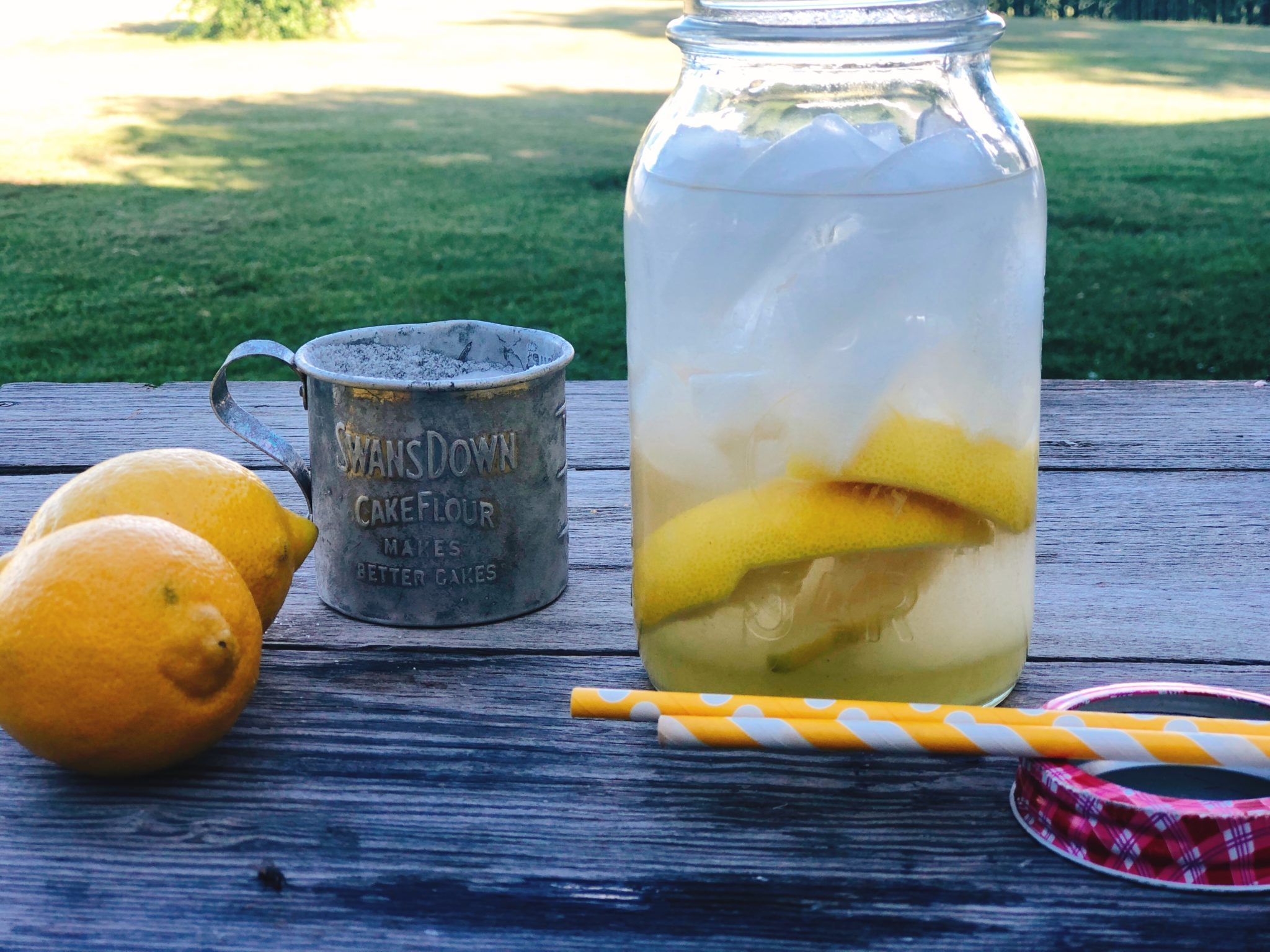 County Fair Lemon Shake-Up - The Farmwife Feeds