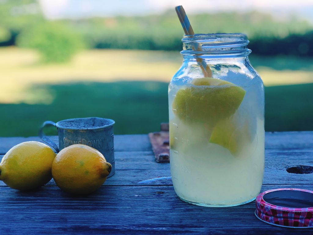 County Fair Lemon Shake-Up - The Farmwife Feeds