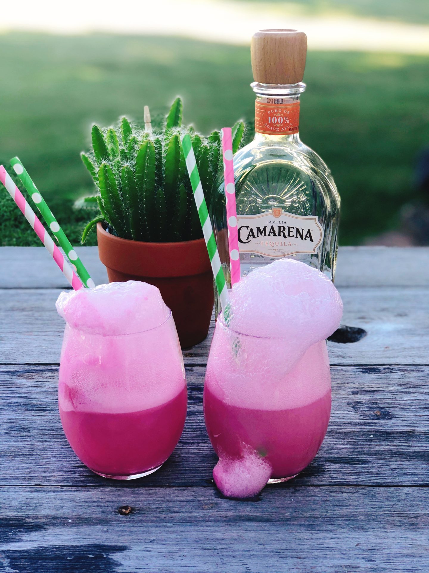 Twisted Cactus Tequila Punch - The Farmwife Feeds